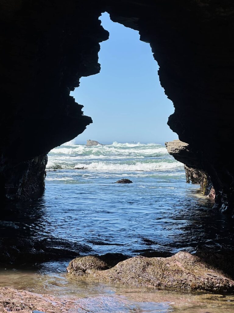 Point Buchon Trail - 小白流浪记